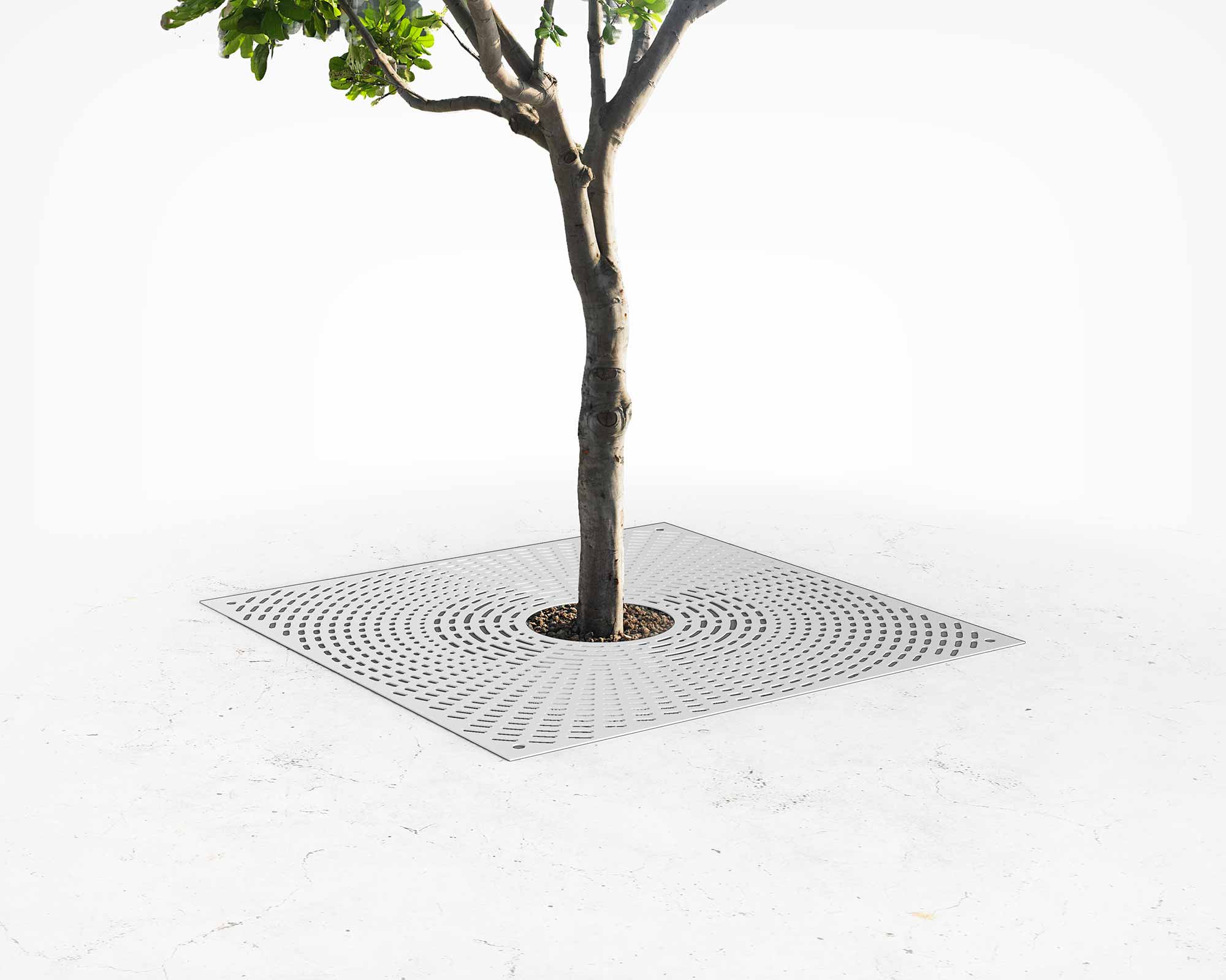 Marina Tree Grate — Street and Garden